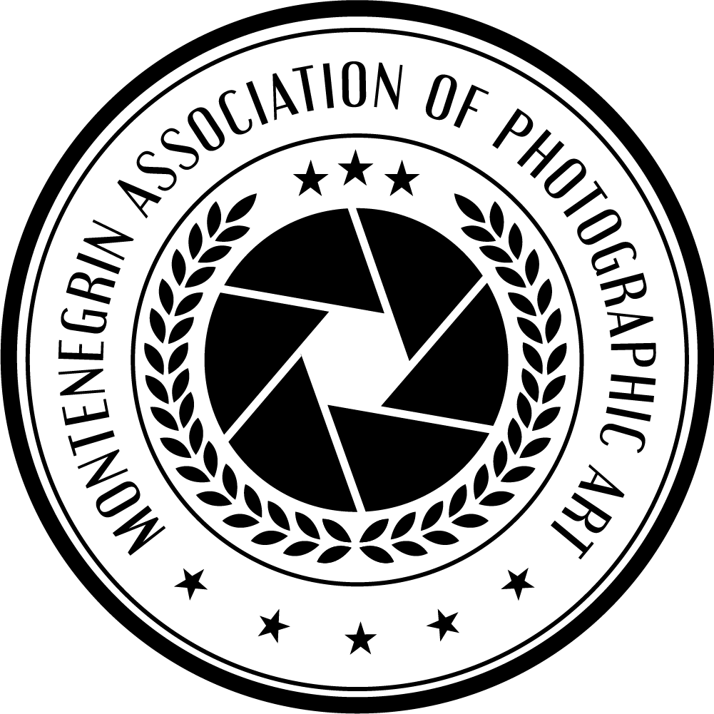 ENTRY RULES – Art Selecta