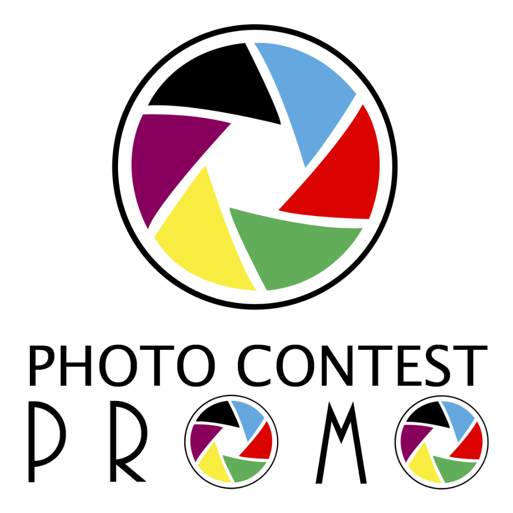 ENTRY RULES – Art Selecta